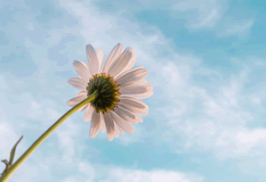 LOIBUS洛丽汇快乐屋-发布页_海角网